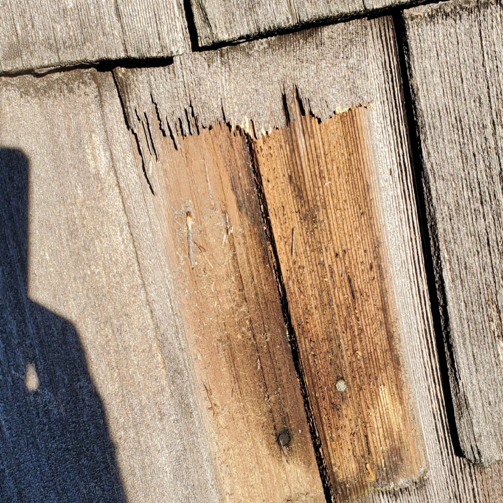Cedar Shake Roofing – Mag Selva Inc.
