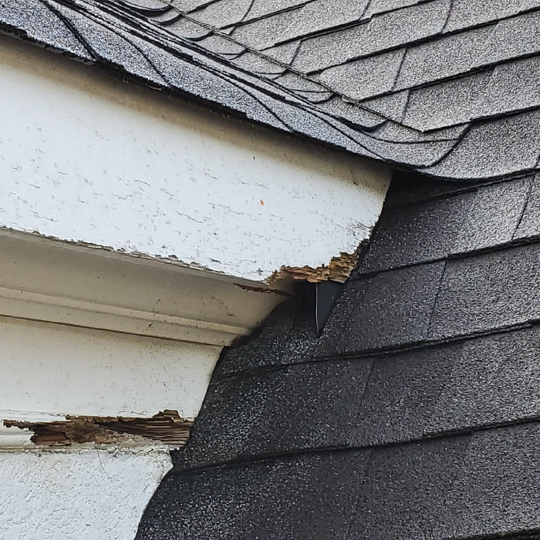 Handyman Services – Mag Selva Inc.