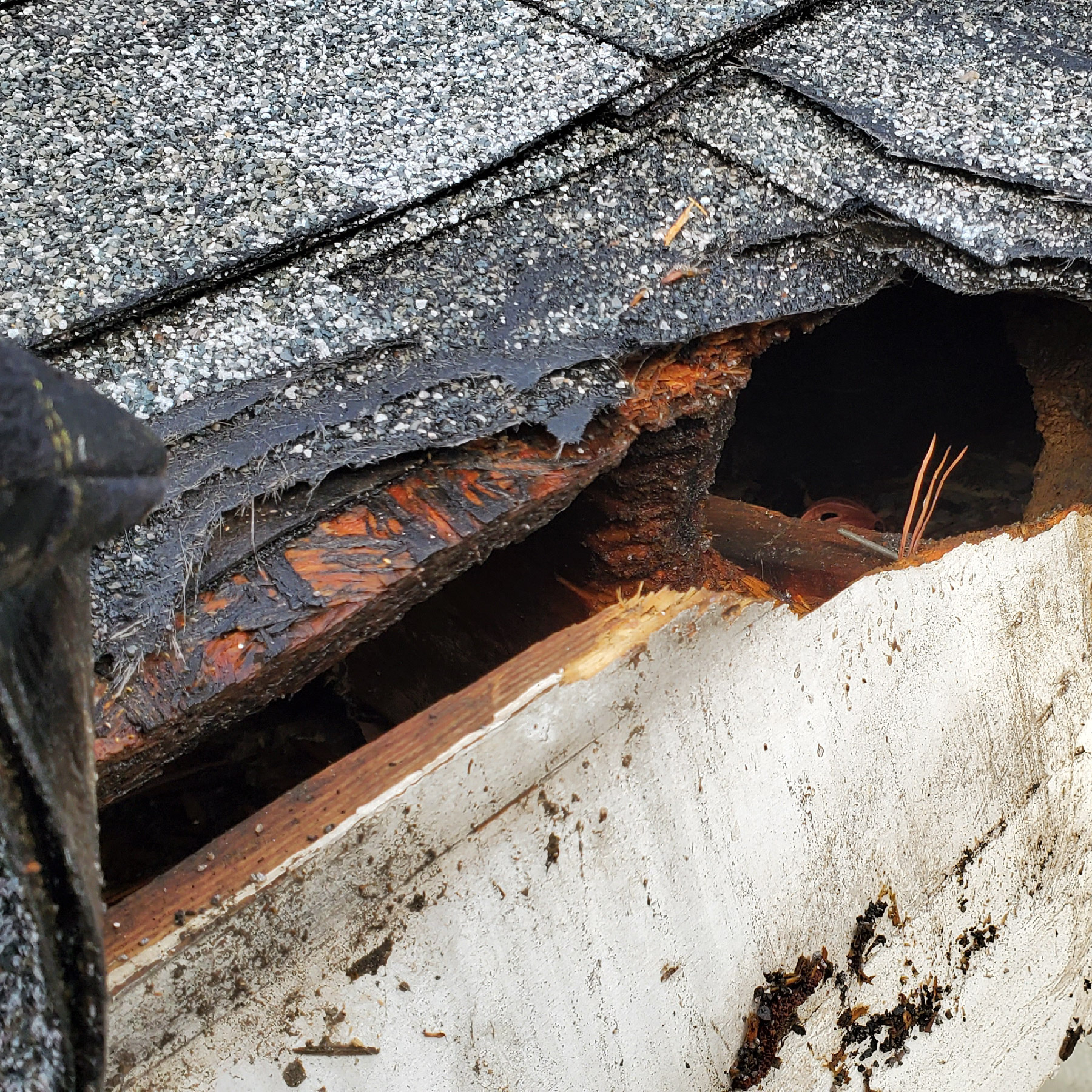 Handyman Services – Mag Selva Inc.