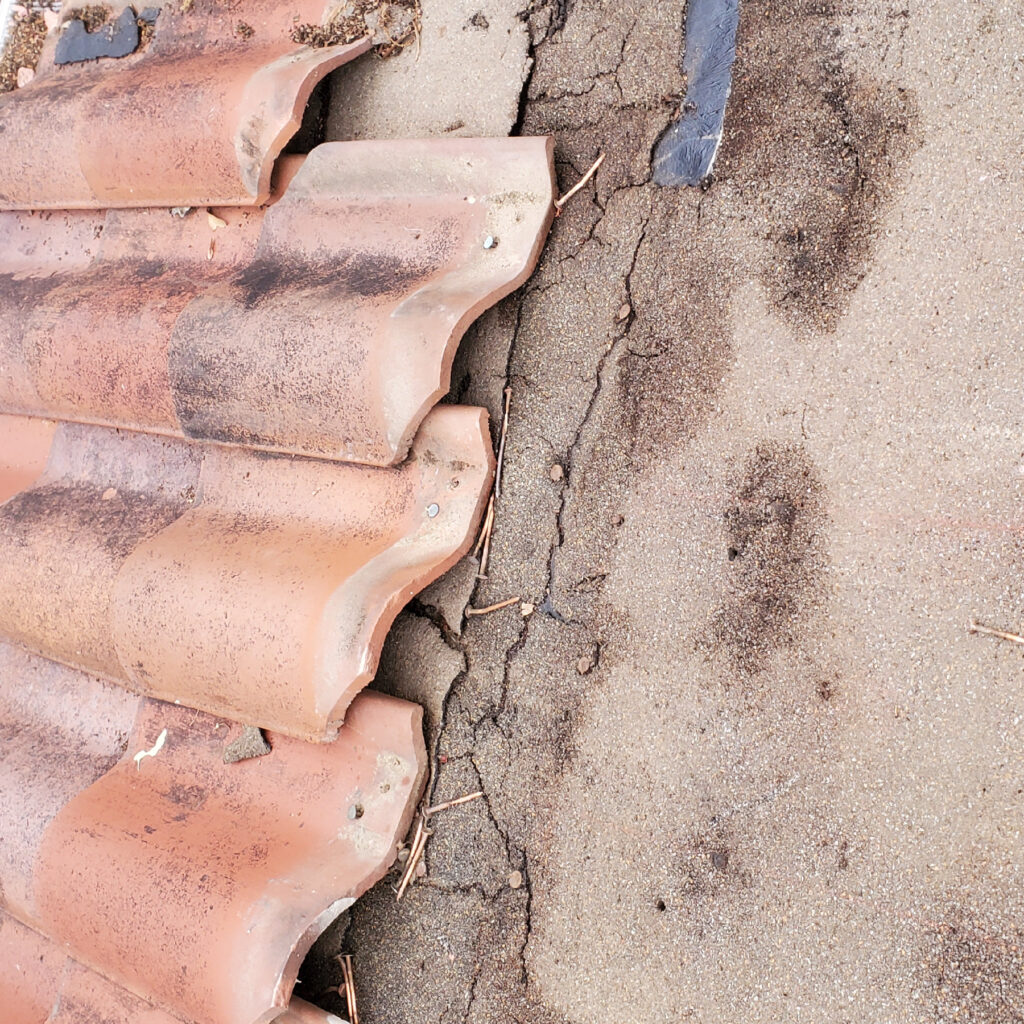 Tile Roofs – Mag Selva Inc.